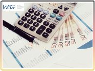 Legal form GmbH & Co. KG in Germany - Wise Business Group